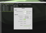 Final Term – nadějný emulátor terminálu pro Linux – Linux Mint CZ&SK